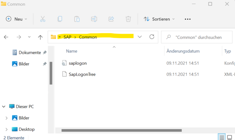 SAP Logon GUI - Installation und Konfiguration - Daniel Gutermuth