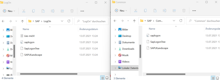 SAP Logon GUI - Installation und Konfiguration - Daniel Gutermuth